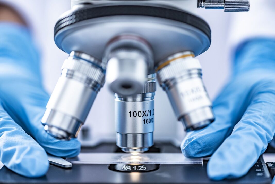 Medicina de precisión: qué son los test genéticos - ElSello.Info