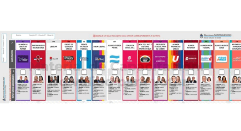 Este Domingo Hay Elecciones Y Se Vota Con Boleta Única De Papel Bup 9591